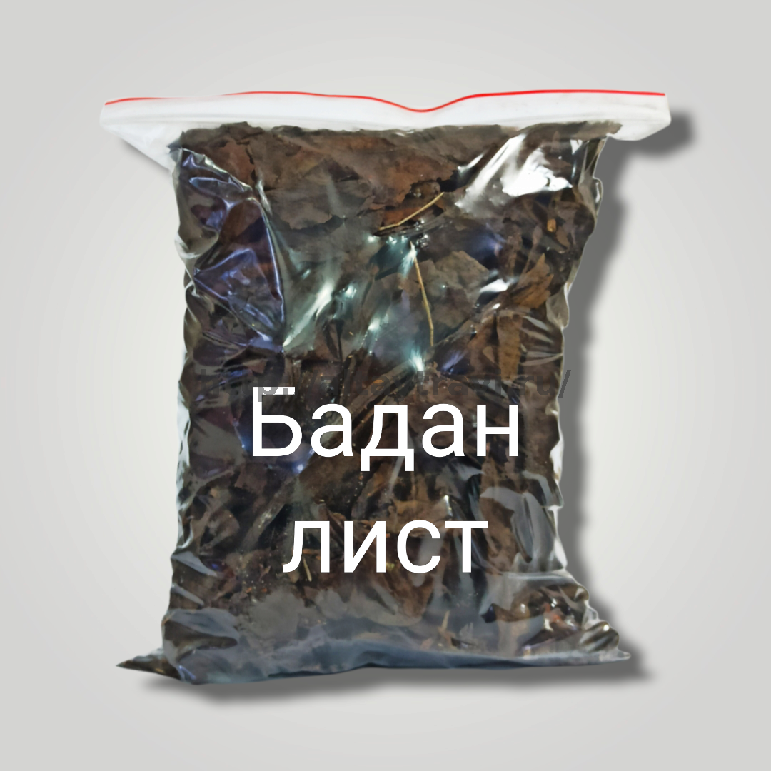 Бадан - купить по низкой цене в интернет магазине Травы Алтая